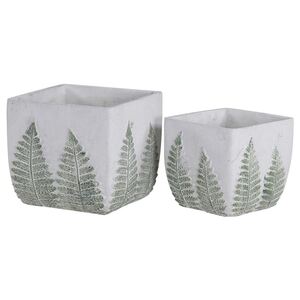 Large Square Fern Planter | Grove Home & Design